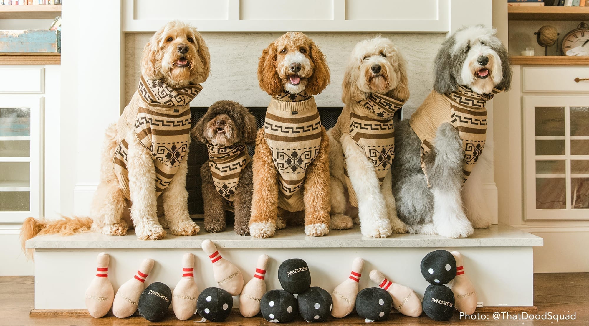 Pendleton Dog Coats | Warm, Stylish & Perfect for Winter