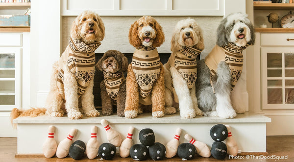 Pendleton Dog Coats & Sweaters For Cozy Winters