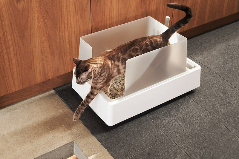 Modern, Easy-to-Clean Litter Box with Built-In Scoop & High Walls