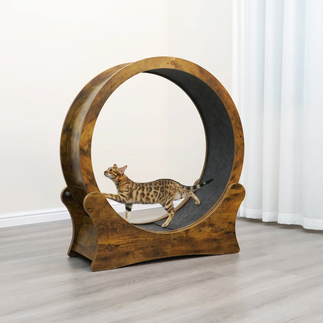 Modern Design Cat Wheel | Fun & Safe Exercise for Active Cats