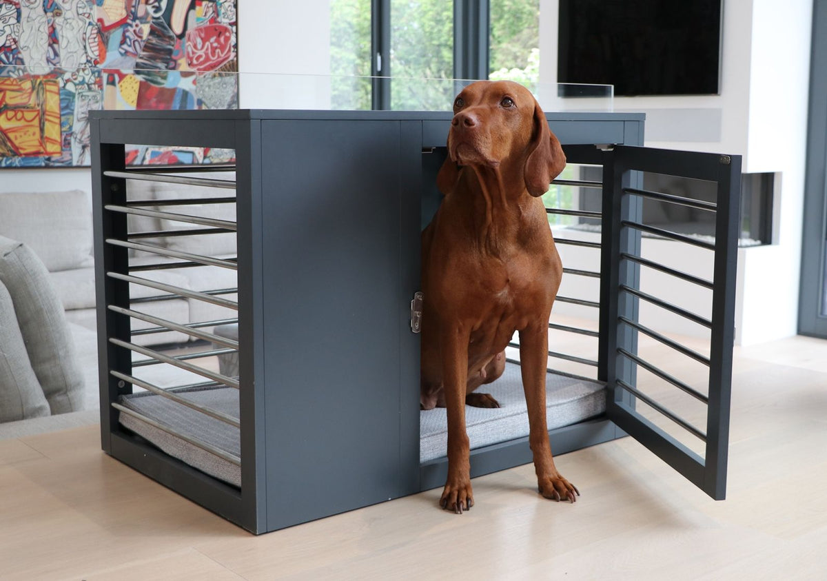 Dog Crate Furniture | Bowsers Crate Training For Large - Small Dogs