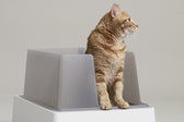 Modern, Easy-to-Clean Litter Box with Built-In Scoop & High Walls