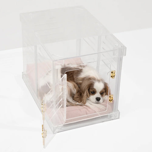Clear Acrylic Dog Crate & Gate For Small Dogs by Hiddin
