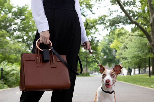 Lumi Leash | Luxury Italian Buttero Vegetable Tanned Leather Leash